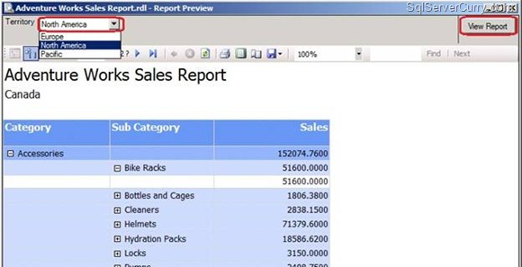 Design Parameterized Report using SSRS 2008 Design Parameterized Report using SSRS 2008